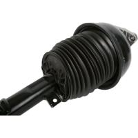 China 2WD CLS - Class W218 Mercedes Benz Air Suspension Front Left Air Ride Shock Strut 2183206513 for sale