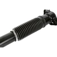China W166 X166 Rear Air Struts For Mercedes Benz  W/O ADS 1663200130 for sale