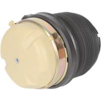 China Rear Rubber Bellow Suspension Air Spring Audi A6 C6 A6 Quattro / Avant S6 4F0616001J for sale