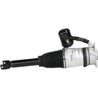 China TS16949 Audi Air Suspension Shock Absorber Fit A8 D3 4E Rear Left 4E0616001E for sale