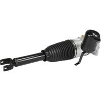 China TS16949 Audi Air Suspension Shock Absorber Fit A8 D3 4E Rear Left 4E0616001E for sale