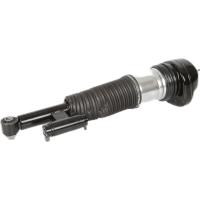 China 37106874594 BMW Struts Air Ride Suspension Rear R 7 Series G11 G12 & G11 / G12 Xdrive for sale