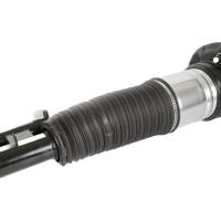 China 37106874594 BMW Struts Air Ride Suspension Rear R 7 Series G11 G12 & G11 / G12 Xdrive for sale