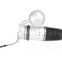 China Bentley VW Volkswagen Struts Rear Left Phaeton Air Suspension Shock 3D0616001J for sale