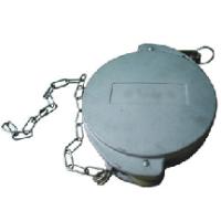 China API Dust Cap for sale