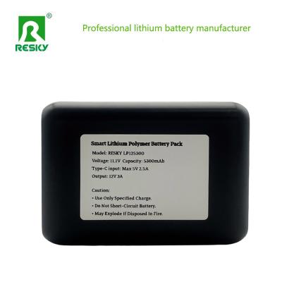 China 21700 Li-ion Battery 12V 5000mAh Rechargeable Lithium Ion Battery Pack with Medium Discharge Rate for Heated Physiotherapy Instruments for sale