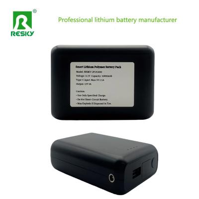 China 12V 5300mAh Lithium Ion Battery Pack for Heated Clothing and Medical Devices with Fast Charging for sale