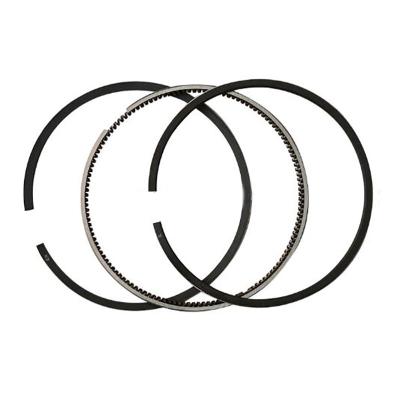 China Japanese Truck Parts Piston Ring 12040z5505 12040-Z5505 12040-Z5512 12040-Z5517 Sdn31036zy for Ud Mk250 Fe6 for sale