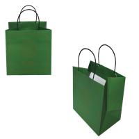China Twisted Handle Kraft Recycled Paper Gift Bags PMS CMYK Printing for sale