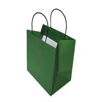 China Twisted Handle Kraft Recycled Paper Gift Bags PMS CMYK Printing for sale