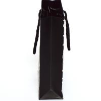 China Rectangle Kraft Recycled Paper Gift Bags Black With Twisted Handles for sale