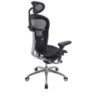 China Swivel Tilt Hermen Miller Ergo Mesh Back Office Chair For Home Office for sale