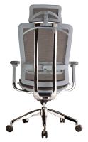 China Ergonomic Swivel Tilt Mesh Swivel Chairs Lumbar Support For Office And Home for sale