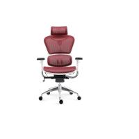 China Customized Soothing Ergonomic Home Office Chairs For Drafting for sale