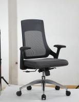 China Pneumatic Adjustable Classical Back Support Mesh Seat Office Chair With Headrest for sale
