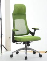 China Pneumatic Adjustable Classical Back Support Mesh Seat Office Chair With Headrest for sale