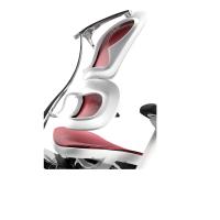 China Mechanism Hermen Miller Ergonomic Home Office Chairs All Mesh for sale