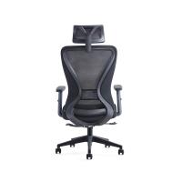China Comfortable Pinnacle Curva High Back Mesh Chair Tilt Mechanism for sale