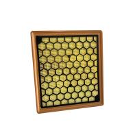 China MAXUS T60 T70 D90 Air Filter C00119797 C00422662 4.5x26x29cm Paper Rubber for sale