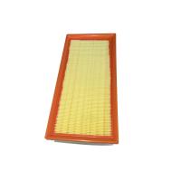 China Auto Air Filter Paper Rubber Plastics for MAXUS V90 EV90 C00176661 for sale