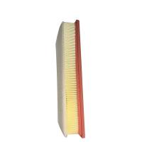 China Universal Car Air Filter for MAXUS EV80 V80 5.5x16.5x34cm C00032808 C00002453 for sale