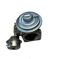 China EGR Valve Repair Kit C00016197 for MAXUS V80 A80 0.98KG OE Replacement for sale
