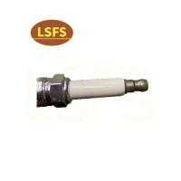 China OEM 10162965 Spark Plug for Maxus G10 2.0T High Standard Ceramic Standard Car Spark Plug for sale