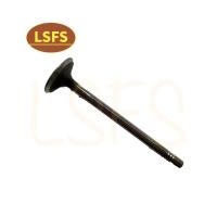 China LSFS Intake Valve for Maxus D90 G10 G20 T60 2.0T Engine OEM C00111120 for sale