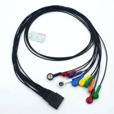 China Compatible Schiller 10 Lead ECG Patient Cable Schiller for Schiller MS-12 Blue ECG Cable for sale