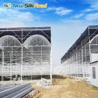 China NSR Tunnel Multi-Span Agricultural Film Greenhouse 6m-12m Span with 0.6kN Wind Load and Custom Sizing for sale