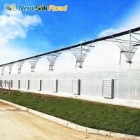 China Tunnel Type Multi-Span Agricultural Film Greenhouse with 6-12m Spans and 3.5-5.8m Roof Height for Hydroponic Farming for sale