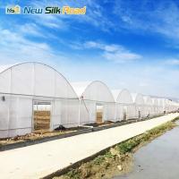 China NSR Tunnel Multi-Span Agricultural Film Greenhouse 6m-12m Span with 0.6kN Wind Load and Custom Sizing for sale