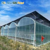 China NSR Tunnel Multi-Span Agricultural Film Greenhouse 6-12m Span with 0.6kN/㎡ Wind Load for Farming and Aquaculture for sale