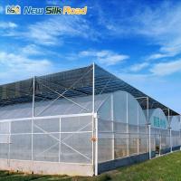 China NSR Tunnel Multi-Span Agricultural Film Greenhouse 6-12m Span with 0.6kN Wind Load and Custom Sizing for sale