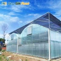 China NSR Tunnel Multi-Span Agricultural Film Greenhouse 6-12m Span with 0.6kN Wind Load and Customizable Dimensions for sale