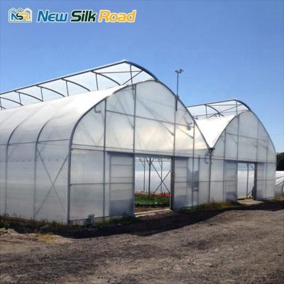 China NSR Gothic Multi-Span Agricultural Film Greenhouse 8-12m Span with 0.5kN/㎡ Snow Load for sale
