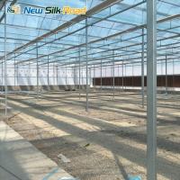 China NSR Gothic Multi-Span Agricultural Film Greenhouse 8-12m Span with 0.5kN/㎡ Snow Load for sale