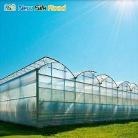 China NSR Gothic Multi-Span Agricultural Film Greenhouse 6m-12m Span with 0.6 kn/m2 Wind Load and 0.5 kn/m2 Snow Load for sale