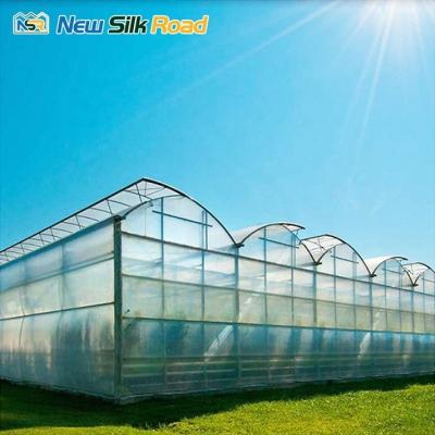 China NSR Gothic Multi-Span Agricultural Film Greenhouse 6m-12m Span with 0.6 kn/m2 Wind Load and 0.5 kn/m2 Snow Load for sale