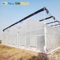 China NSR Gothic Multi-Span Agricultural Film Greenhouse 8m-12m Span with 0.6kN Wind Load and Custom Sizing for sale