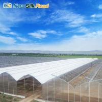 China NSR Gothic Multi-Span Agricultural Film Greenhouse 8m-12m Span with 0.6kN Wind Load and Custom Sizing for sale