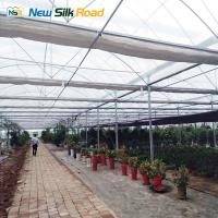 China NSR Gothic Multi-Span Agricultural Film Greenhouse 8m-12m Span with 0.6kN Wind Load and Custom Sizing for sale
