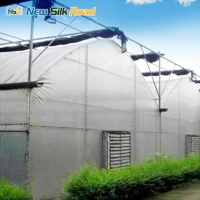 China Hot Galvanized Steel Frame Gothic Multi-Span Greenhouse 6-12m Span with 0.6kN Wind Load for Agriculture for sale