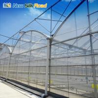 China NSR Gothic Multi-Span Agricultural Film Greenhouse 6-12m Span 3.5-5.8m Height for Hydroponic Farming for sale