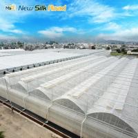 China NSR Gothic Multi-Span Agricultural Film Greenhouse 6-12m Span with 0.6kN/㎡ Wind Load and Custom Sizing for sale