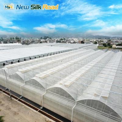 China NSR Gothic Multi-Span Agricultural Film Greenhouse 6-12m Span with 0.6kN/㎡ Wind Load and Custom Sizing for sale
