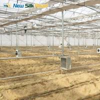 China NSR Gothic Multi-Span Agricultural Film Greenhouse 6-12m Span with 0.6kN/㎡ Wind Load and Custom Sizing for sale