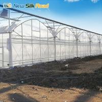 China NSR Gothic Multi-Span Agricultural Film Greenhouse 6m-12m Span with 0.6kN Wind Load and Customizable Dimensions for sale