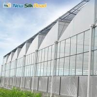 China NSR Sawtooth Multi-Span Agricultural Film Greenhouse 6m-12m Span with Hot-Dip Galvanized Steel Frame for sale