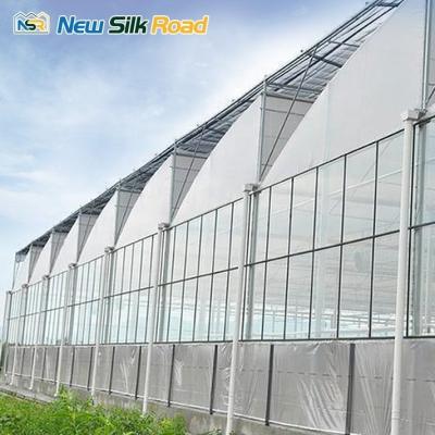 China NSR Sawtooth Multi-Span Agricultural Film Greenhouse 6m-12m Span with Hot-Dip Galvanized Steel Frame for sale